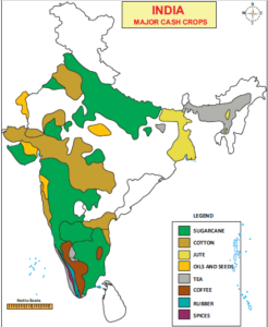 Commercial crops in India and its growing areas Upsc