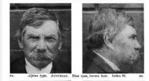 Major Human races of the world and their characteristics Upsc | Andedge