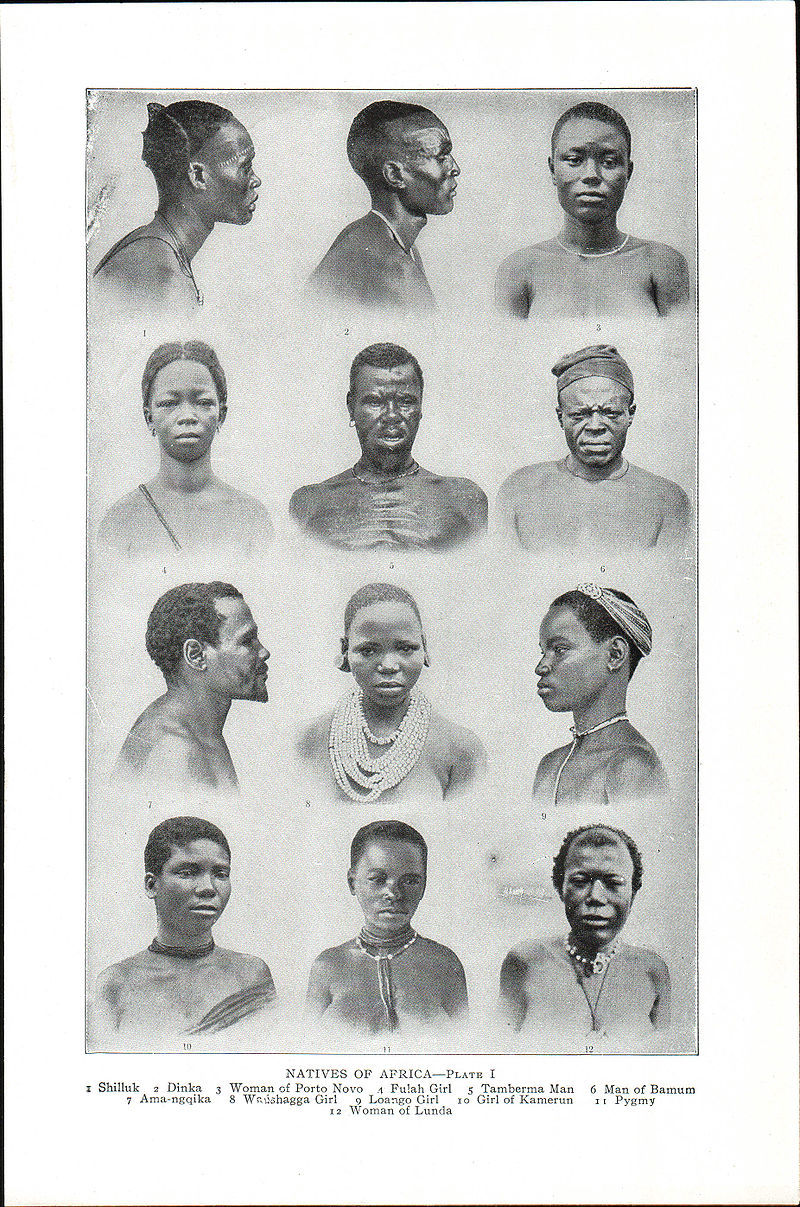 Major Human races of the world and their characteristics Upsc | Andedge