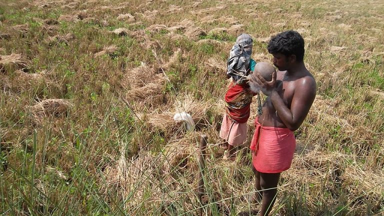 Major tribes in Tamilnadu Upsc | Andedge