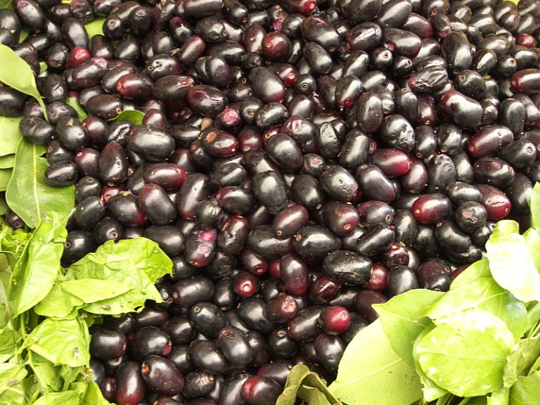 Seasonal fruits in Tamil nadu with months Andedge